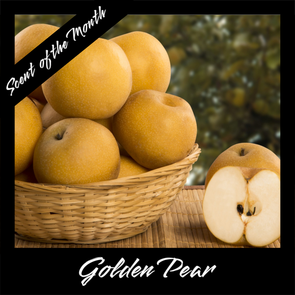 Golden Pear Candle – Fresh Pear, Hints of Peach & Green Apple – Paisley ...